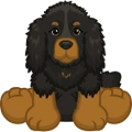 Gordon Setter | Webkinz Wiki | Fandom