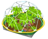 Global Panda | Webkinz Wiki | Fandom