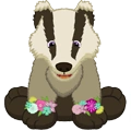 Garden Badger | Webkinz Wiki | Fandom