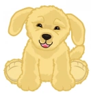 Signature Yellow Labrador Retriever | Webkinz Wiki | Fandom