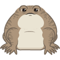 Desert Rain Frog | Webkinz Wiki | Fandom