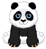 Panda Cub | Webkinz Wiki | Fandom