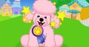 Pink Poodle | Webkinz Wiki | Fandom