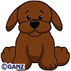 Chocolate Lab | Webkinz Wiki | Fandom