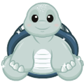 Winter Tortoise | Webkinz Wiki | Fandom