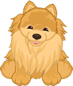 Signature Pomeranian | Webkinz Wiki | Fandom