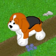 Beagle | Webkinz Wiki | Fandom