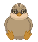 Fluffy Speckled Chick | Webkinz Wiki | Fandom
