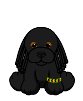 Rockerz Dog | Webkinz Wiki | Fandom