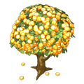 Tart Tangerine Candy Tree | Webkinz Wiki | Fandom