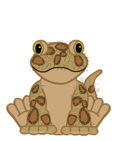 Leopard Lizard | Webkinz Wiki | Fandom