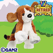Beagle | Webkinz Wiki | Fandom