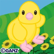 Yellow Springtime Chick | Webkinz Wiki | Fandom