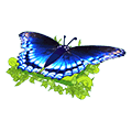 Blue Butterfly Bed | Webkinz Wiki | Fandom