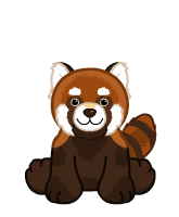 Signature Endangered Red Panda | Webkinz Wiki | Fandom