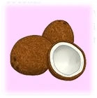 Coconut | Webkinz Wiki | Fandom