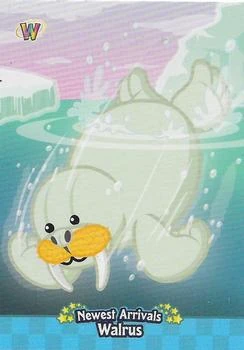 B4-20 - Walrus | Webkinz Wiki | Fandom