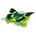 Green Butterfly Bed | Webkinz Wiki | Fandom
