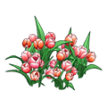 Red Tulips | Webkinz Wiki | Fandom