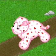 Love Kitten | Webkinz Wiki | Fandom