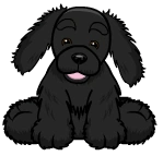 Black Cocker Spaniel | Webkinz Wiki | Fandom