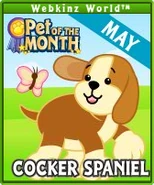 Cocker Spaniel | Webkinz Wiki | Fandom