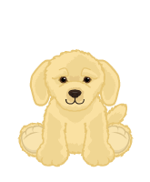 Signature Yellow Labrador Retriever | Webkinz Wiki | Fandom