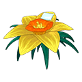Daffodil Bed | Webkinz Wiki | Fandom