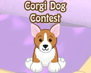Corgi Dog | Webkinz Wiki | Fandom