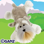 Schnauzer | Webkinz Wiki | Fandom