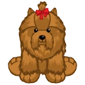 Long Haired Yorkie | Webkinz Wiki | Fandom