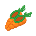 Crunchy Carrot Shoes | Webkinz Wiki | Fandom