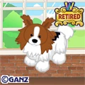 Papillon Dog | Webkinz Wiki | Fandom