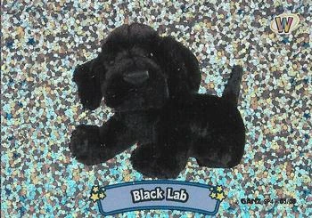 SP4-03 - Black Lab | Webkinz Wiki | Fandom