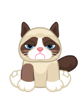 Grumpy Cat | Webkinz Wiki | Fandom