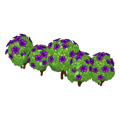 Violet Hedge | Webkinz Wiki | Fandom
