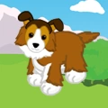 Collie | Webkinz Wiki | Fandom
