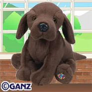 Cocoa Lab | Webkinz Wiki | Fandom