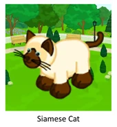 Siamese | Webkinz Wiki | Fandom