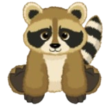 Baby Raccoon | Webkinz Wiki | Fandom