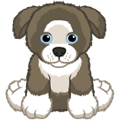 Dusty Border Collie Puppy | Webkinz Wiki | Fandom