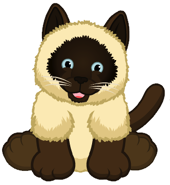 Signature Siamese Cat | Webkinz Wiki | Fandom