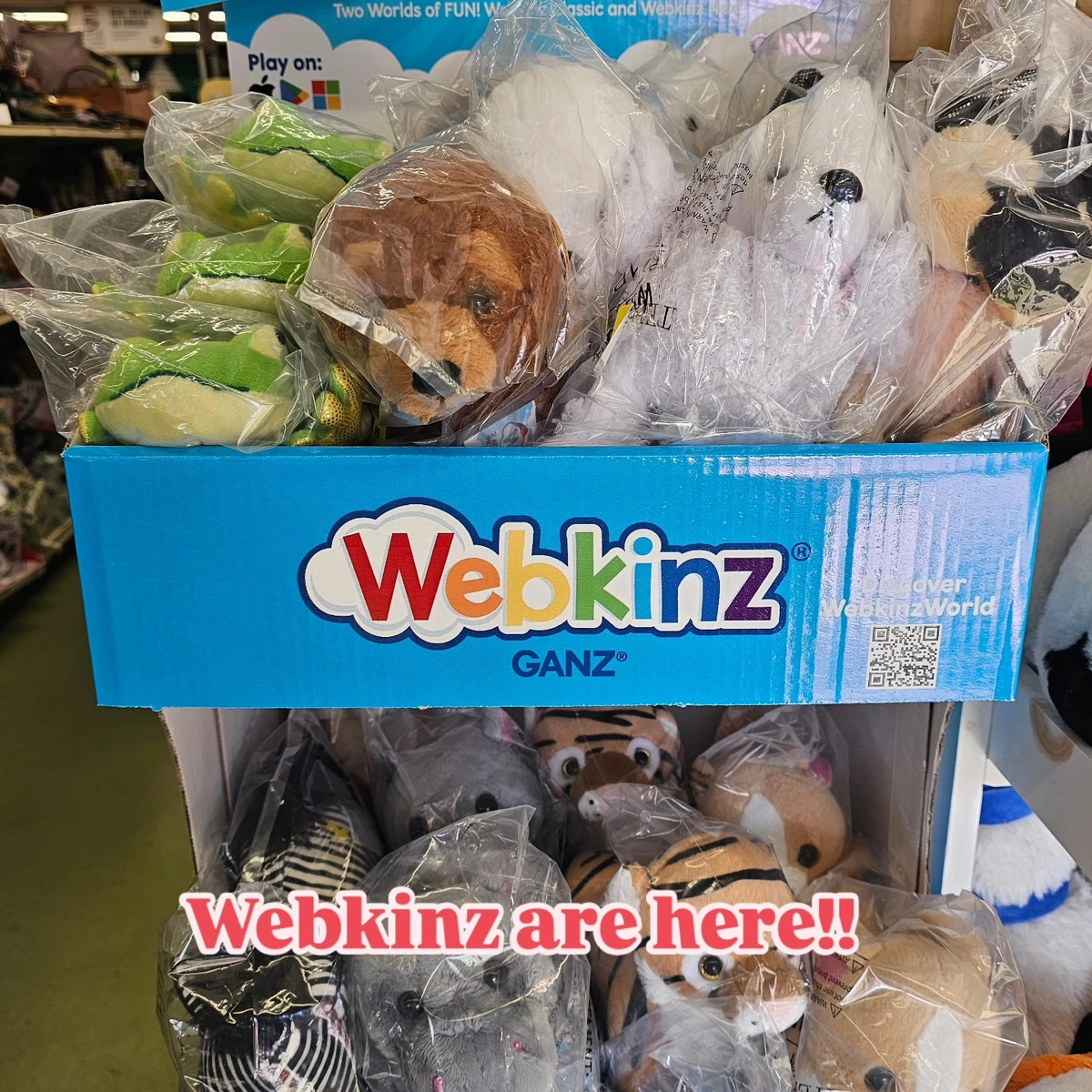 Connecticut Official Retailers | Webkinz Wiki | Fandom
