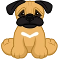 Bullmastiff Puppy | Webkinz Wiki | Fandom