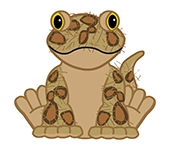 Leopard Lizard | Webkinz Wiki | Fandom