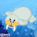 Walrus | Webkinz Wiki | Fandom