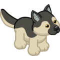 German Shepherd (2025) | Webkinz Wiki | Fandom