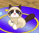 Grumpy Cat | Webkinz Wiki | Fandom
