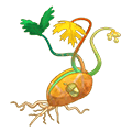 Ancient Oak Enchanted Sapling | Webkinz Wiki | Fandom
