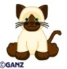 Siamese | Webkinz Wiki | Fandom